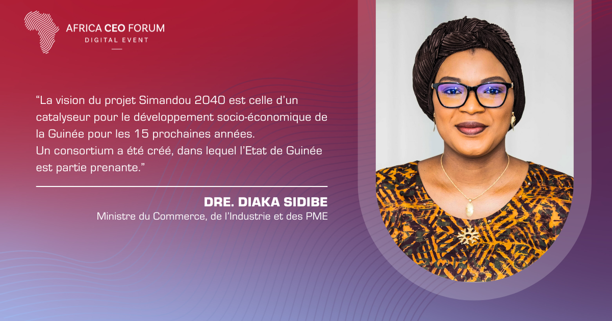 Investissement en Guinée – Interview avec Dre. Diaka Sidibé - The ...